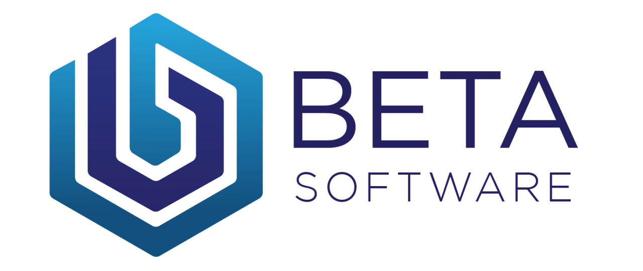 Auditing Solutions & Services | Beta Software | Data Analytics
